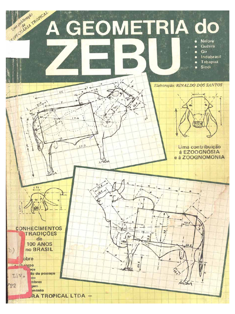 A Geometria Do Zebu | PDF