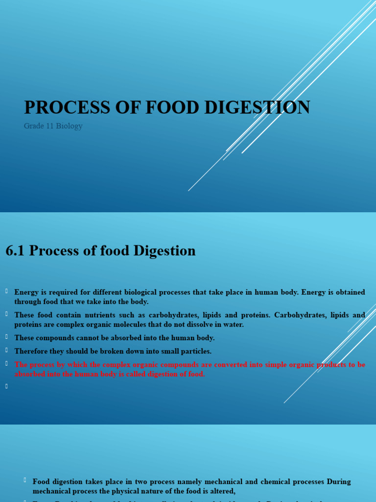 Process of food Digestion | PDF | Digestion | Foods