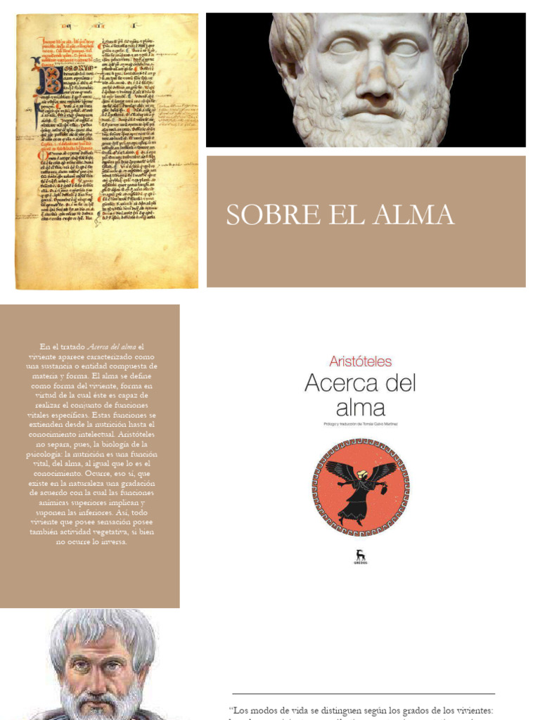 Características del Alma según Aristóteles | PDF | Alma | Conocimiento