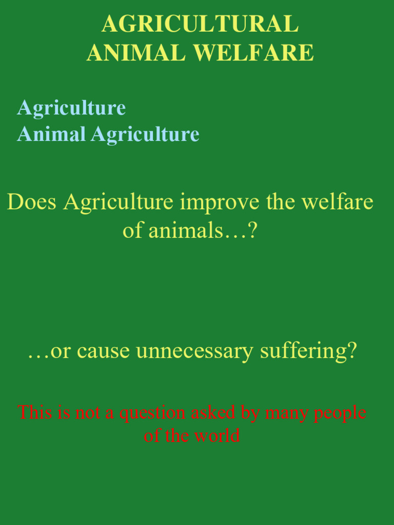 Animal Welfare in Agriculture Concerns | PDF | Animal Welfare | Sheep