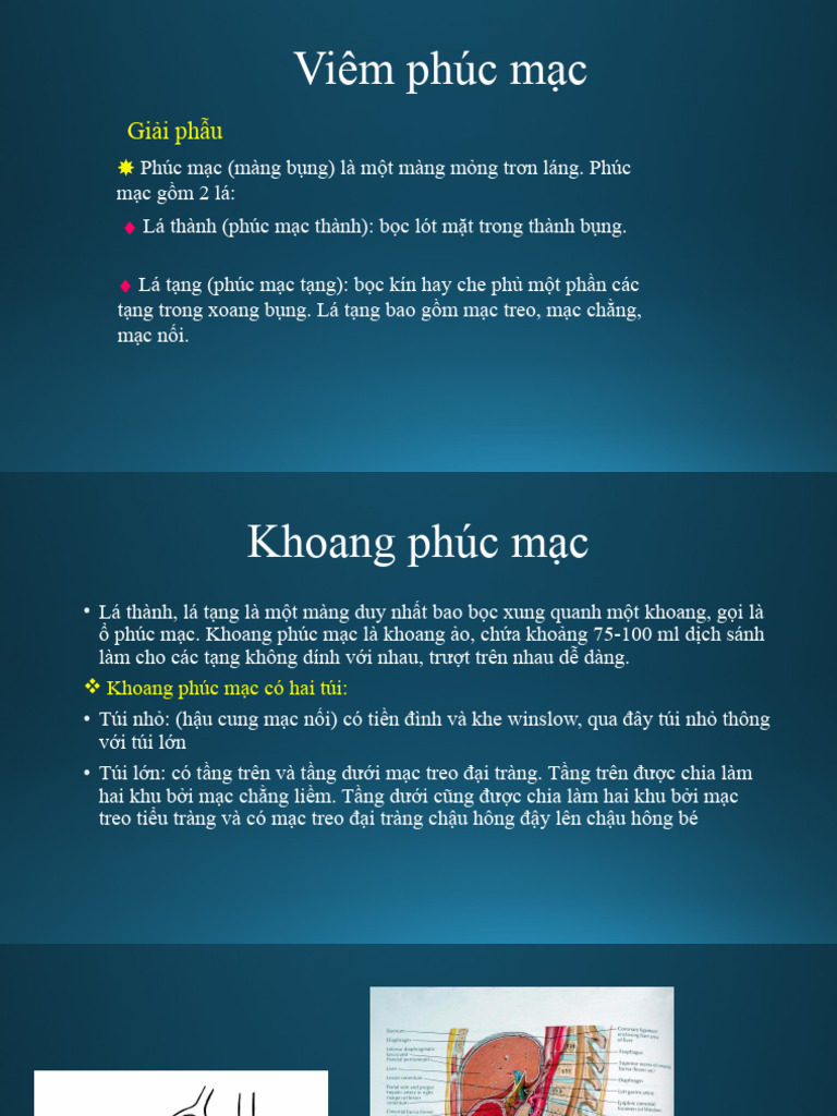 Viem Phuc Mac | PDF