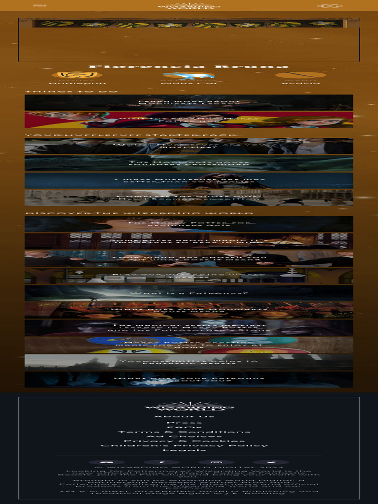 Wizarding World - Profile | PDF