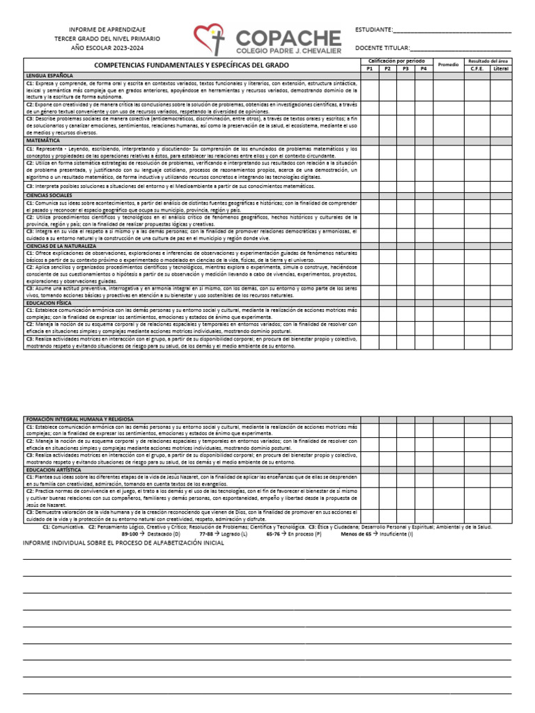Informe de Aprendizaje Nivel Primario-Tercer Grado | PDF | Matemáticas ...