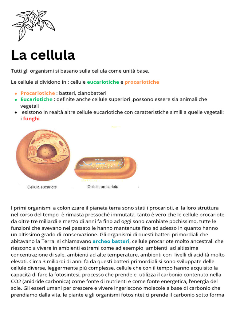 Appunti Biologia | PDF