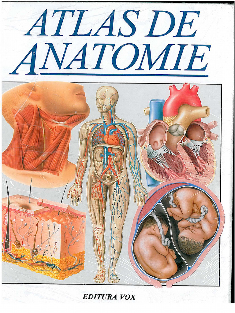 Atlas de Anatomie Editura VOX | PDF