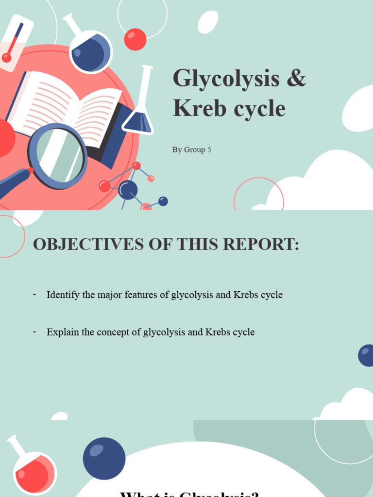 Glycolysis & Krebs Cycle Guide | PDF