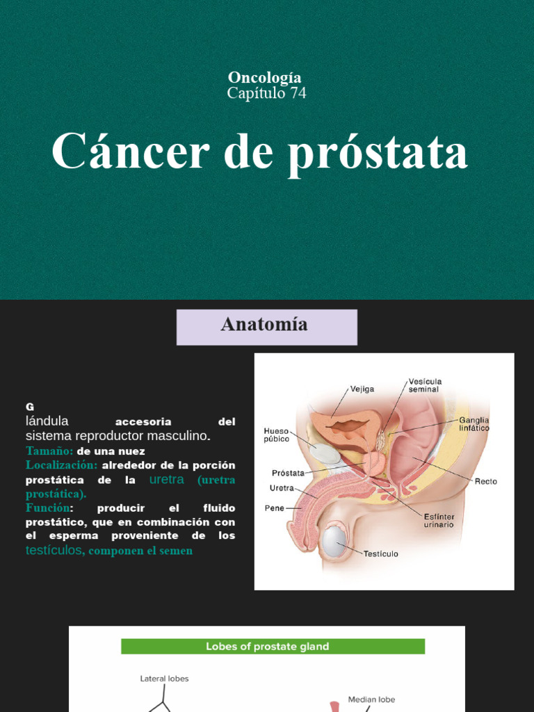 Ca de Próstata 2 | PDF | Cancer de prostata | Metástasis