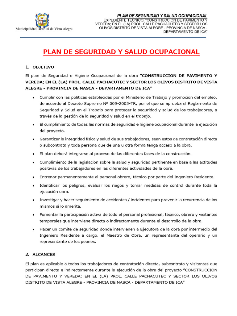 Plan de Seguridad y Salud Ocupacional | Descargar gratis PDF | Evaluación de riesgos | Seguridad ...