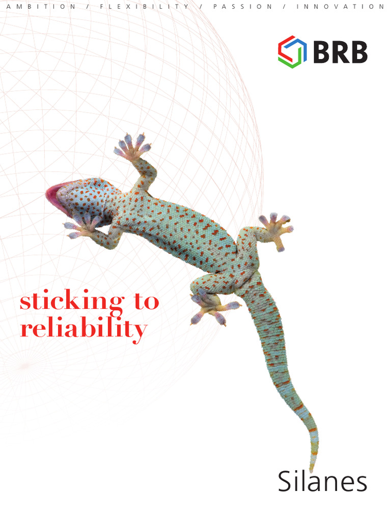 Silane Brochure | PDF | Silicon | Silicone