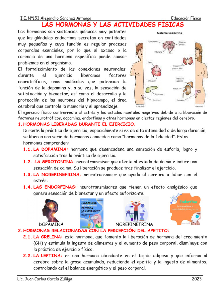 Hormonas y Ejercicio: Impacto Físico y Mental | PDF | Hormona | Leptina