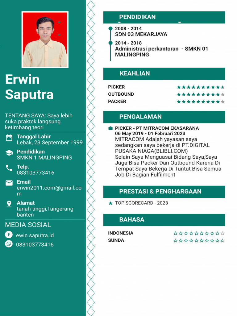 CV Erwin S | PDF