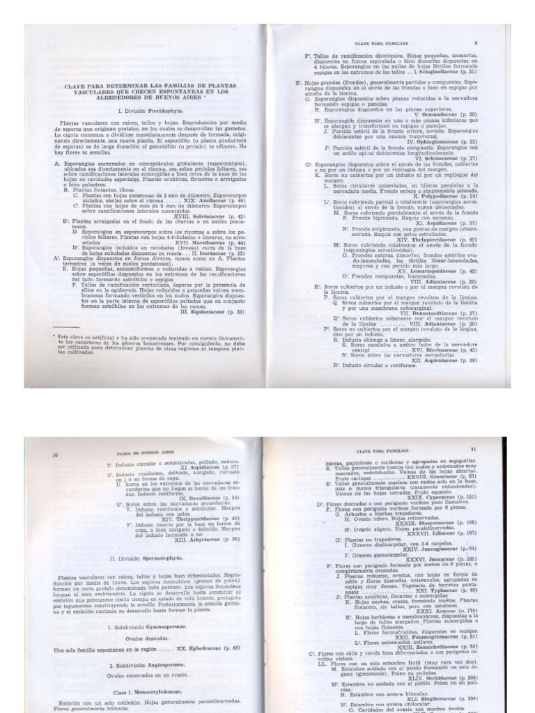 Clave Cabrera 1978 | PDF