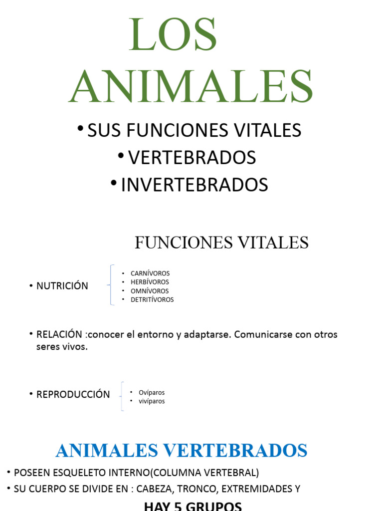 Unidad 5CN | PDF | Hogar, jardinería y bricolaje