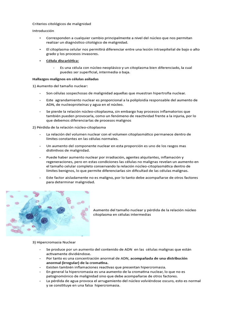 Criterios Citolã Gicos de Malignidad | PDF | Nucleo celular | Biología ...