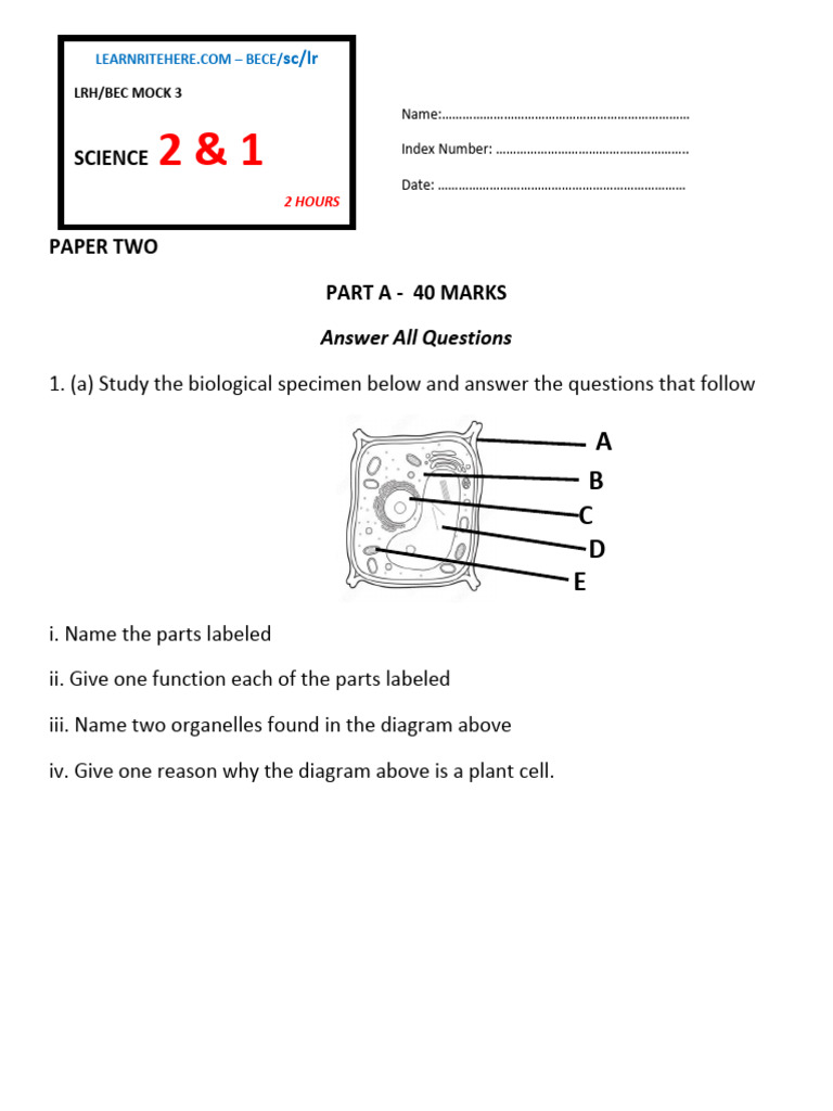Science Mock 3 | PDF | Solar System | Planets