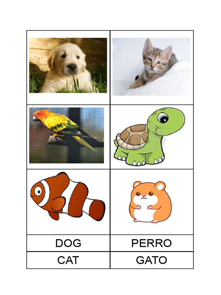 Flashcards Pets | PDF