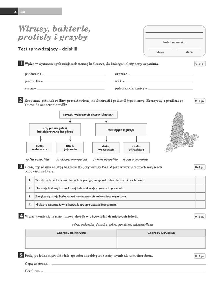 Puls Życia 5 Dział 3 | PDF