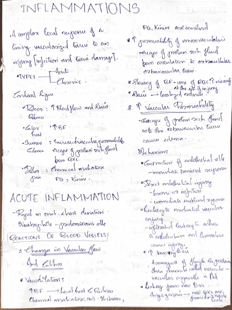 Acute Inflammation | PDF