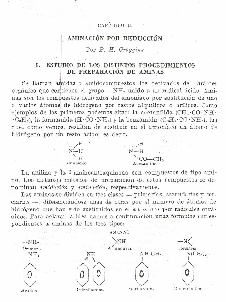 02 - Aminacion Por Reduccion | PDF | Cloruro | Ácido