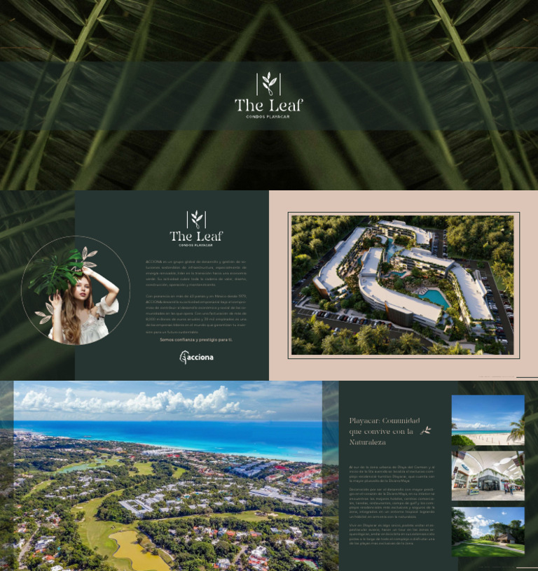 The Leaf Brochure - Esp | PDF