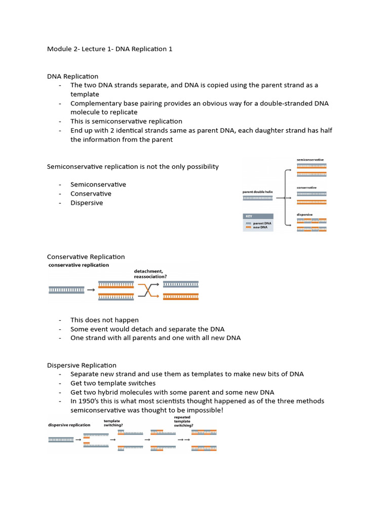 Module 2 - Lecture 1 - DNA Replication 1 | PDF | Dna | Dna Replication