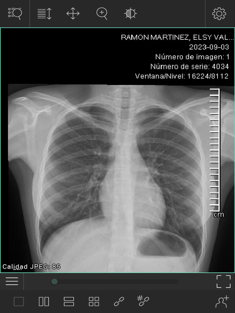 Synapse Mobility | PDF