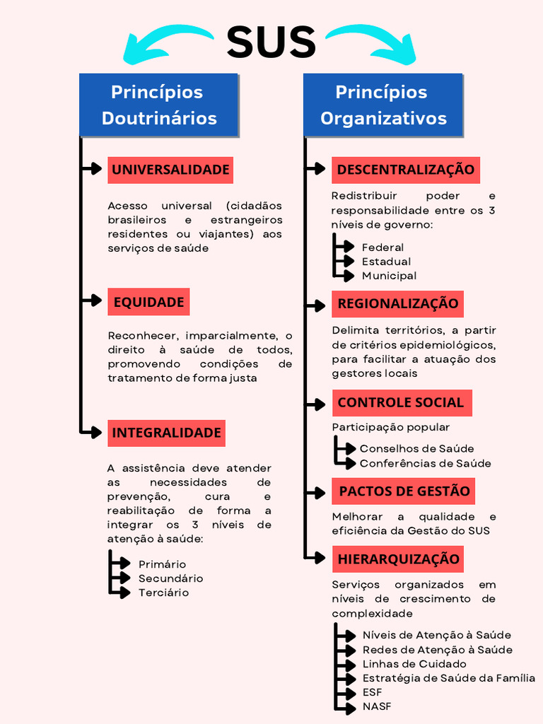 MAPA MENTAL - SUS | PDF