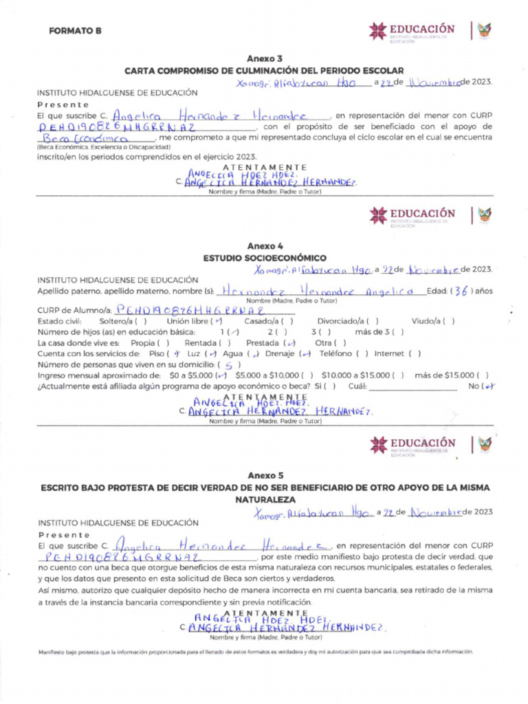 Formato B Danae | PDF