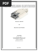 Bluey Flextangle Accessible | PDF