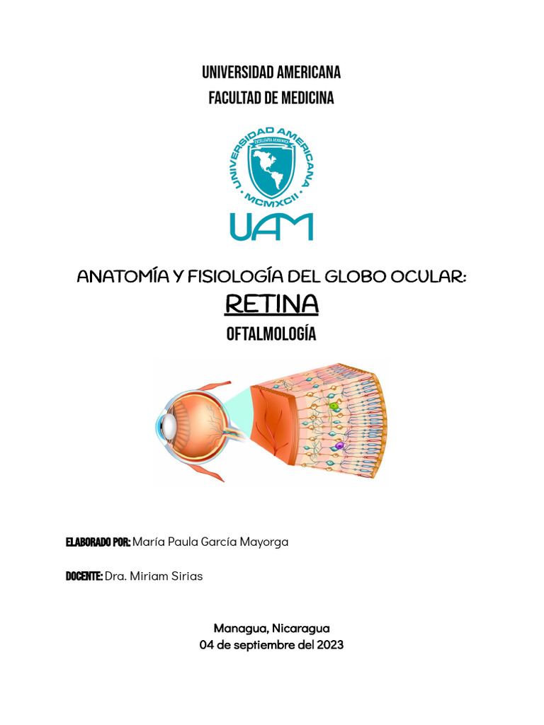 Trabajo de Oftalmo 2 - Retina | PDF | Percepción visual | Retina