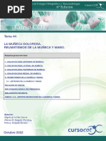 Protocolo FAST y líquido abdominal | PDF | Ultrasonido médico | Pelvis