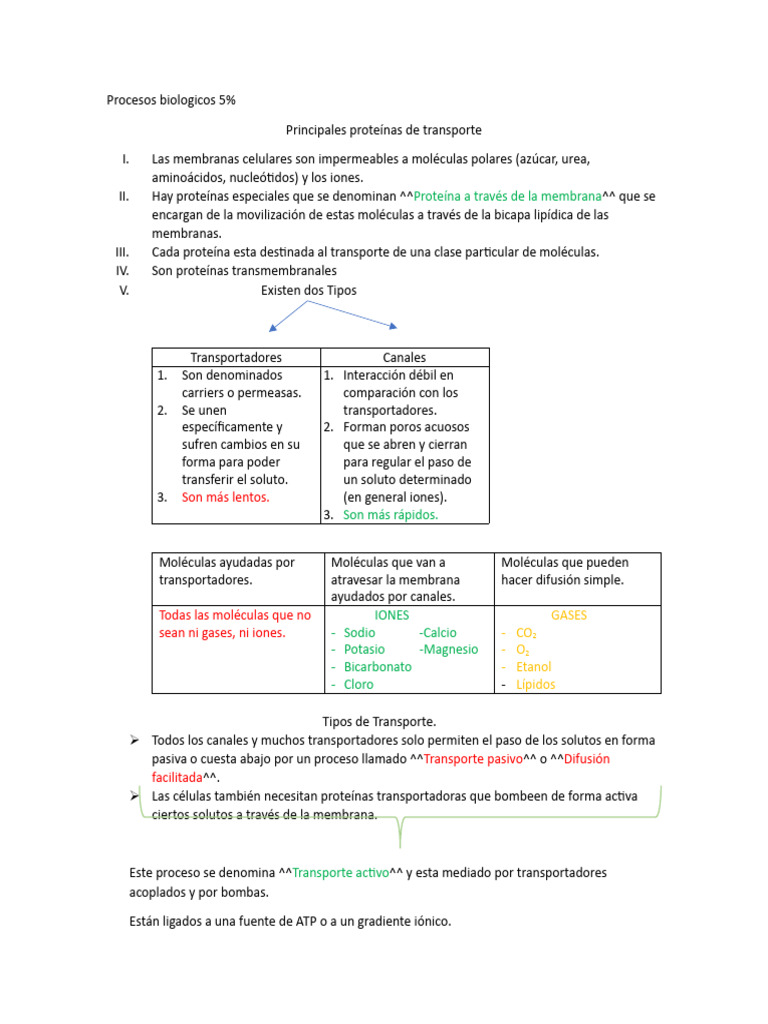 Procesos Biologicos Guia 2 | PDF | Ósmosis | Biofísica