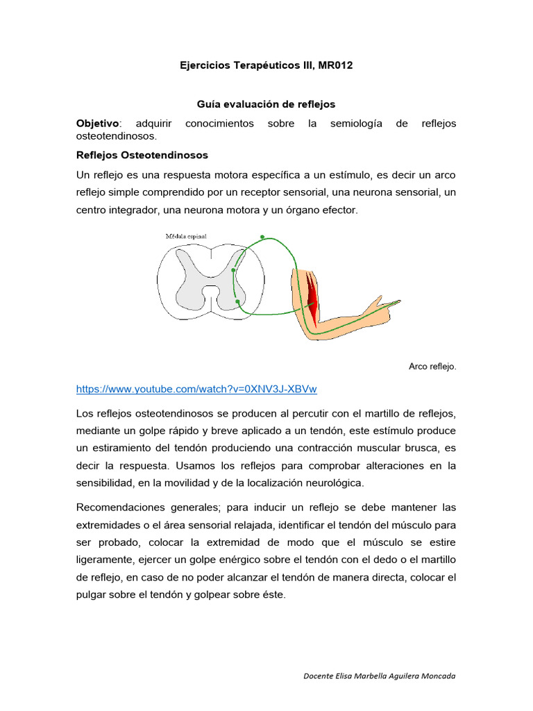 Guía para Evaluación de Reflejos | PDF | Codo | Anatomía humana
