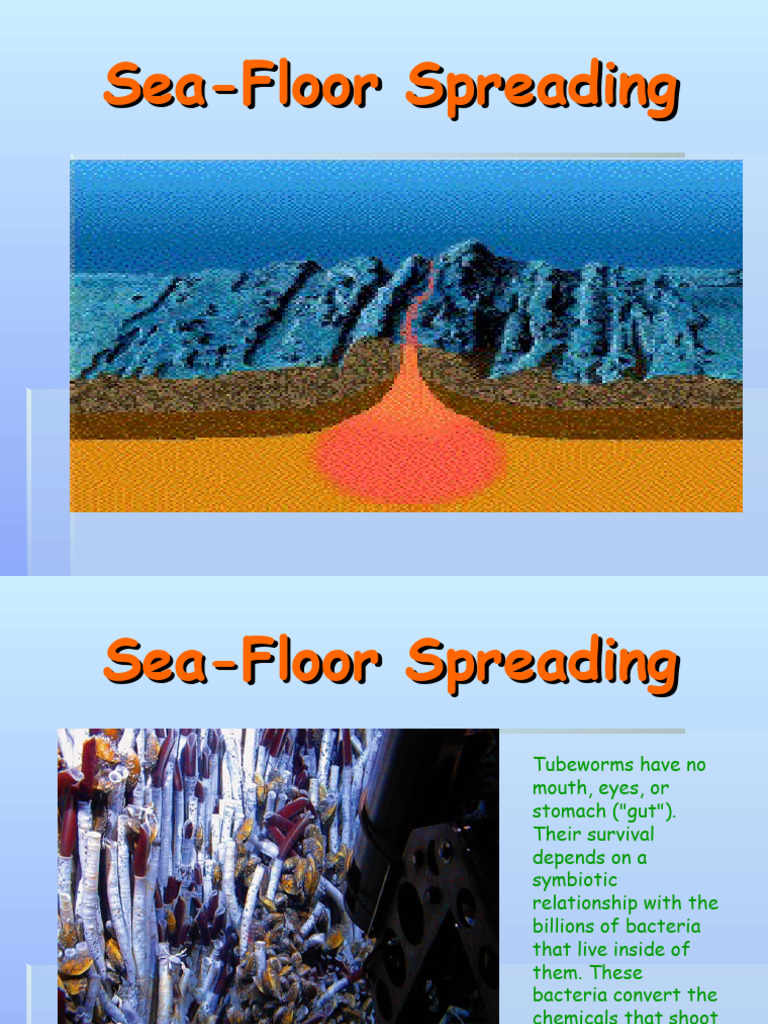Seafloor Spreading | PDF | Seabed | Plate Tectonics