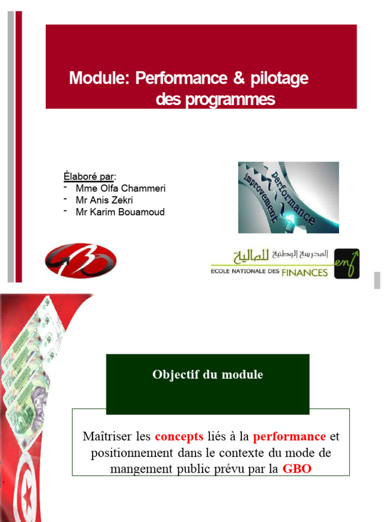 Module Performance Gbo Enf | PDF | Budget | Business