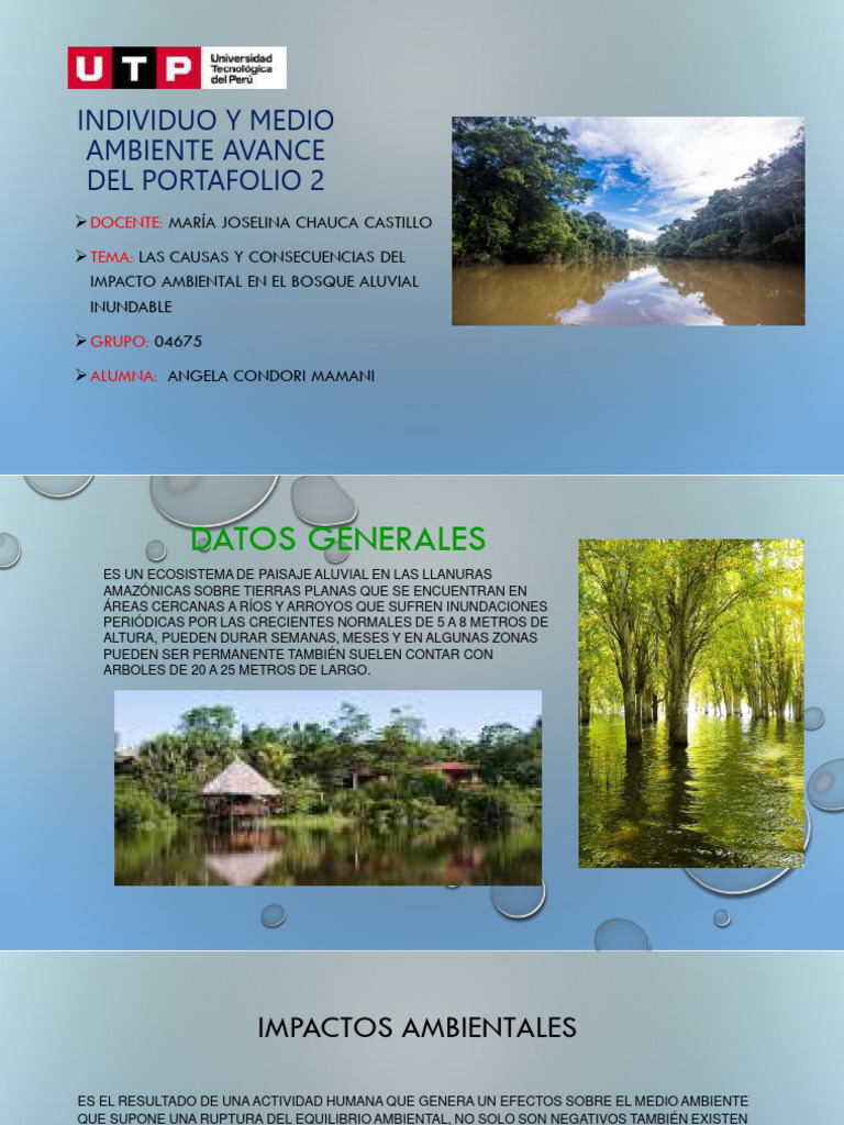 Individuo y Medio Ambiente Avance Del Portafolio 2 | PDF | Entorno natural | Los bosques