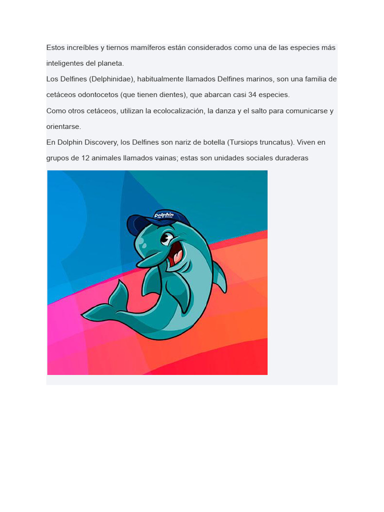 Los Delfines | PDF | Delfín | Cetáceos
