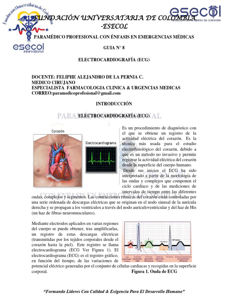 Guia #8 - Electrocardiografía (Ecg) | PDF | Electrocardiografia ...
