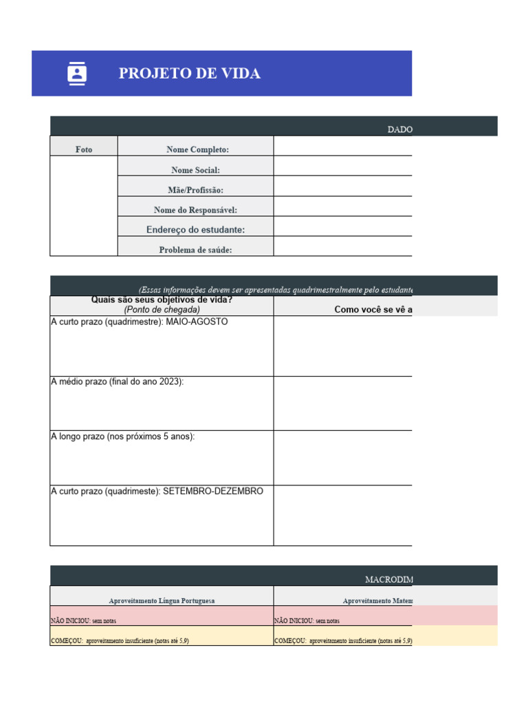 Planilha Do Projeto de Vida | PDF