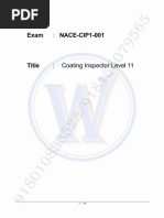 3855 ICorr Coating Inspector Assessment Guidelines 0821 | PDF ...