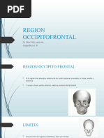 Anatomía de la Región Superciliar | PDF | Cráneo | Anatomía humana