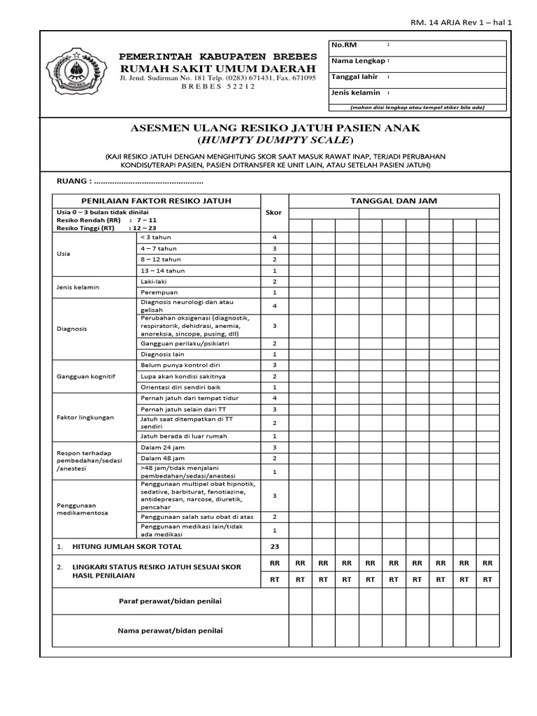 Asesmen Ulang Resiko Jatuh Pada Anak Revisi 1 | PDF