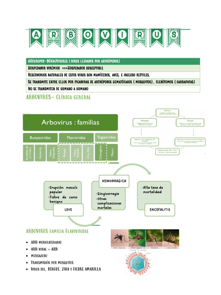 Guía sobre Arbovirus: Dengue y Zika | PDF | Virus | Microbiología