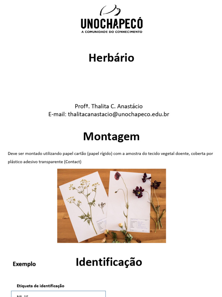 Herbário Fitopatologia | PDF