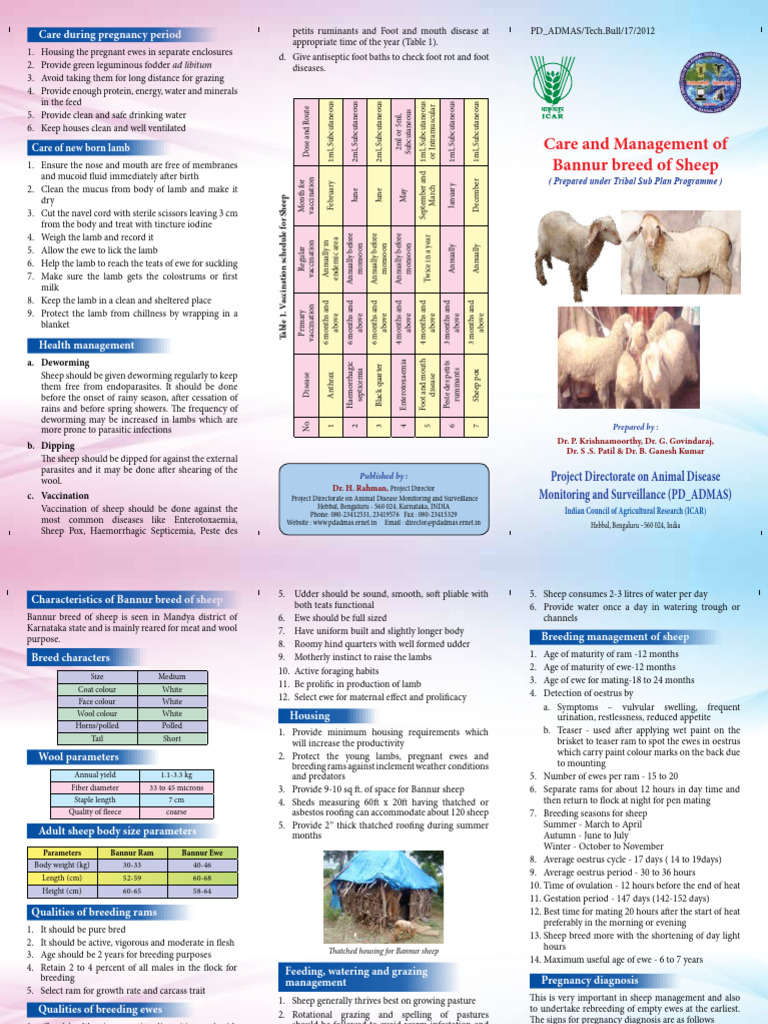 Sheep Management Folder | PDF | Sheep | Wool