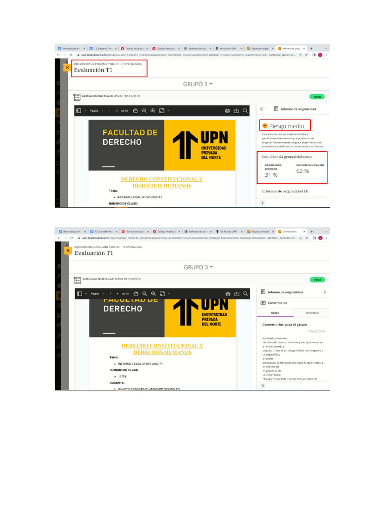 Blackboard Turnitin | PDF