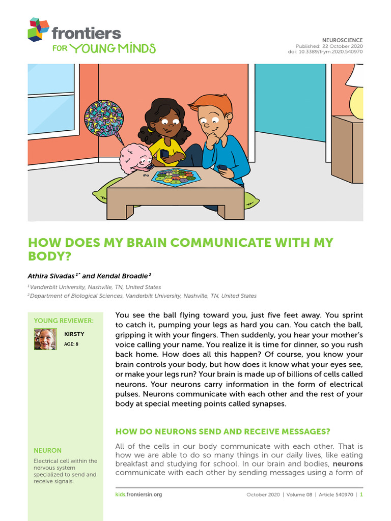 How Does My Brain Communicate With My Bo | PDF | Neuron | Synapse