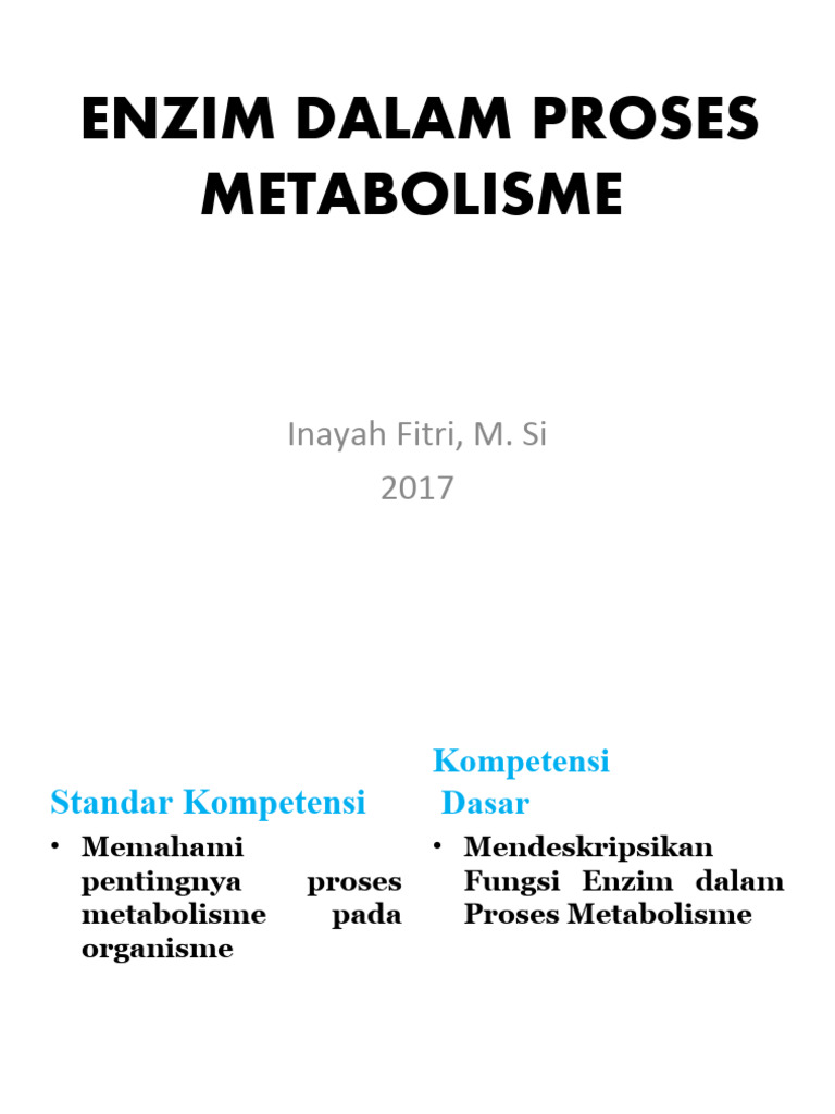 Enzim Dalam Proses Metabolisme | PDF