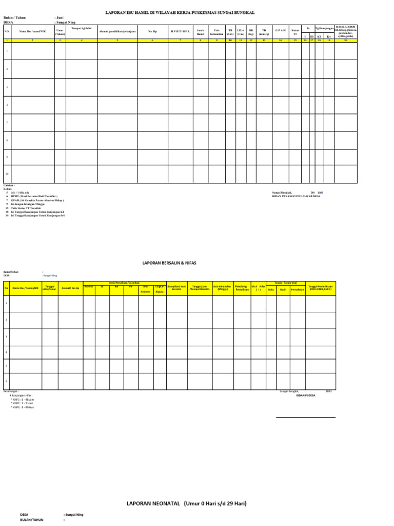 Format Laporan Bidan Desa | PDF