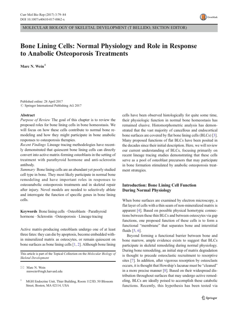 bone lining cells | PDF | Bone | Osteoblast